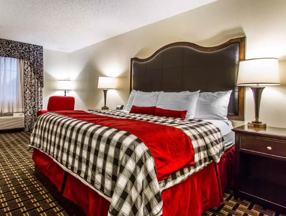 Racing Information | Evangeline Downs Racetrack, Casino, & Hotel