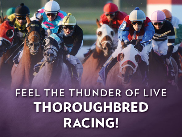 Offers | Evangeline Downs Casino Hotel near Lafayette, LA