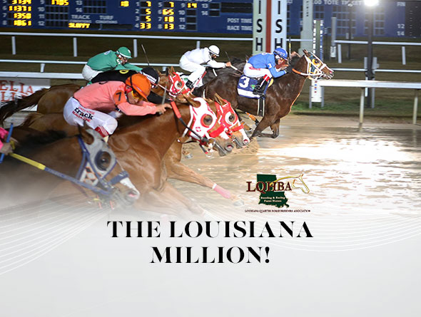 Racing Information | Evangeline Downs Racetrack, Casino, & Hotel