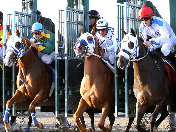 Racing Information | Evangeline Downs Racetrack, Casino, & Hotel